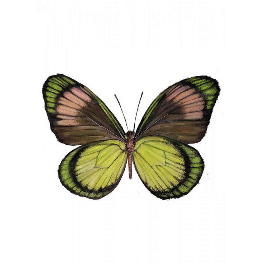 Felicitare, art print.